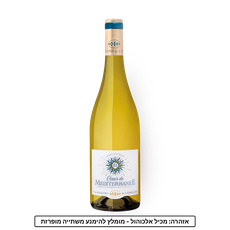 Slayer de Dupain Mediterranee White Rhône Valley Wine — buy for 75 ...