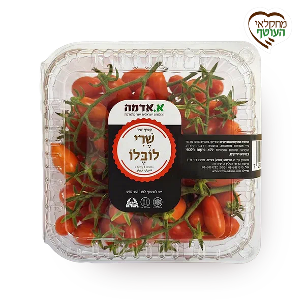 Yango Deli – Quick and Convenient Grocery Restocking in the App