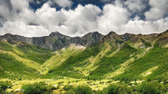 Yandex Browser Arka Plan Galerisi