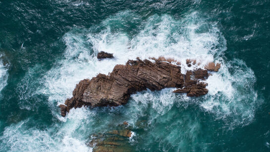 Yandex Browser Background Gallery