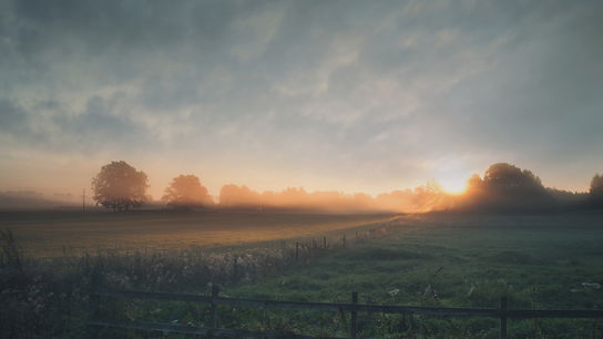 Yandex Browser Background Gallery